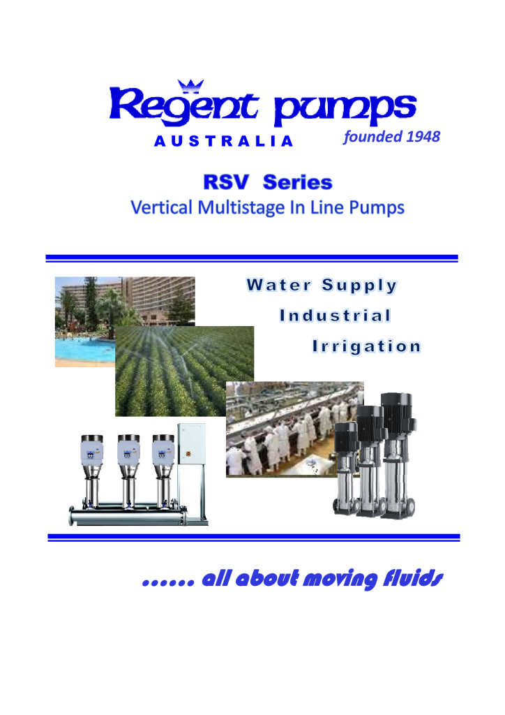 RSV Series Vertical Multistage Inline Pump - richrise