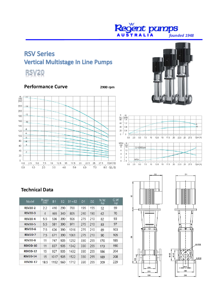 RSV Series Vertical Multistage Inline Pump - richrise