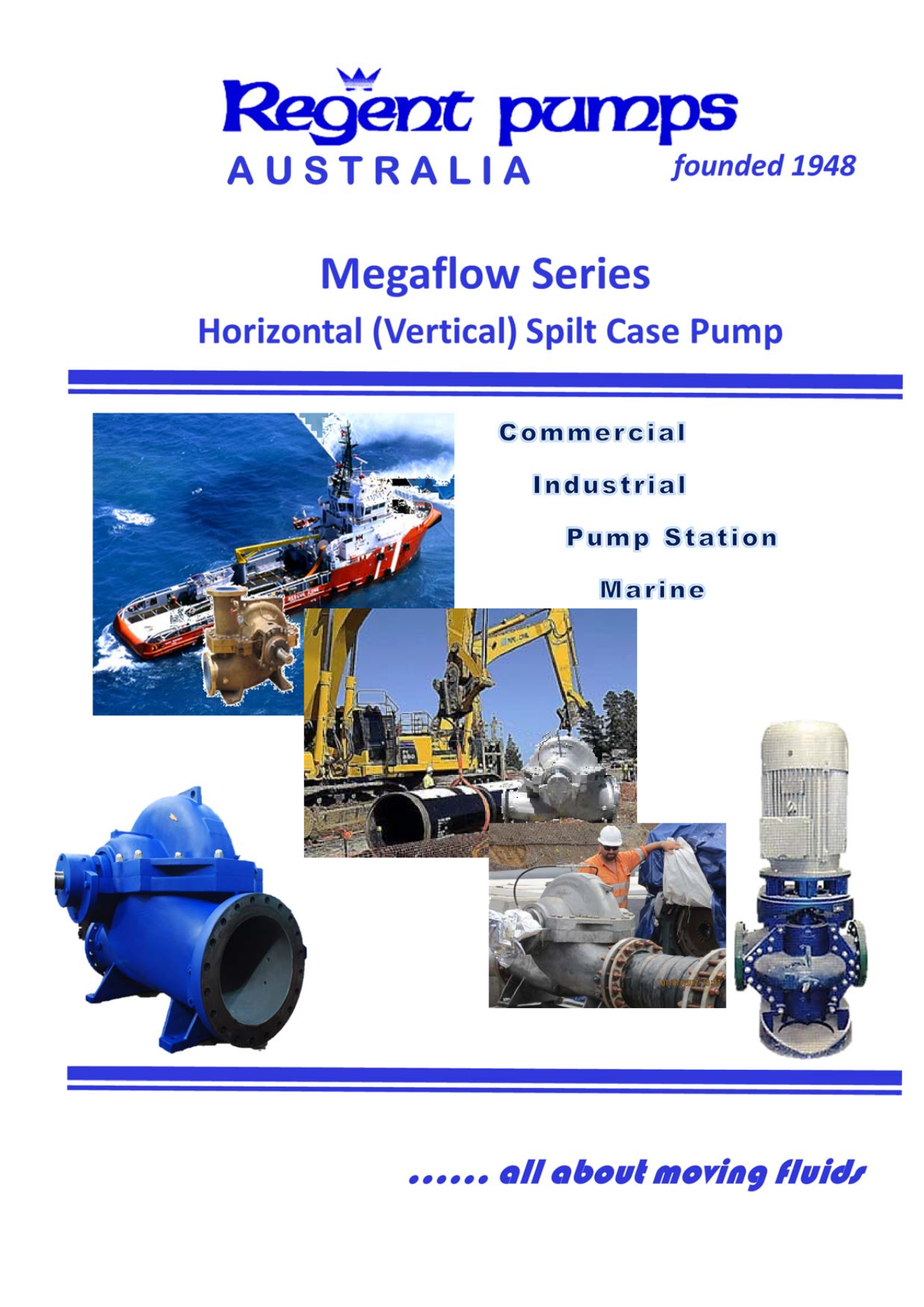 Megaflow Series Horizontal (Vertical) Split Pump - richrise