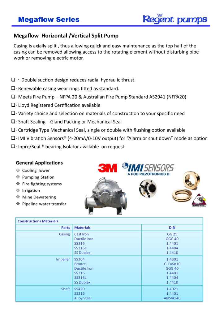 Megaflow Series Horizontal (Vertical) Split Pump - richrise