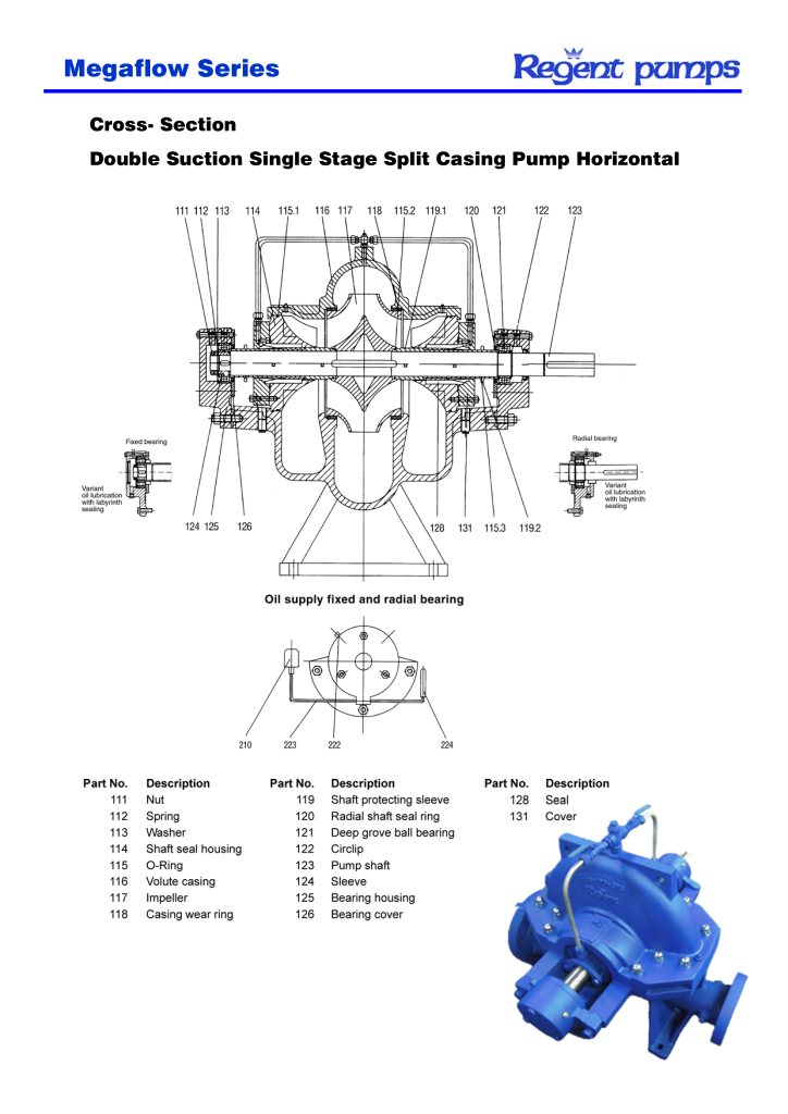 Megaflow Series Horizontal (Vertical) Split Pump - richrise